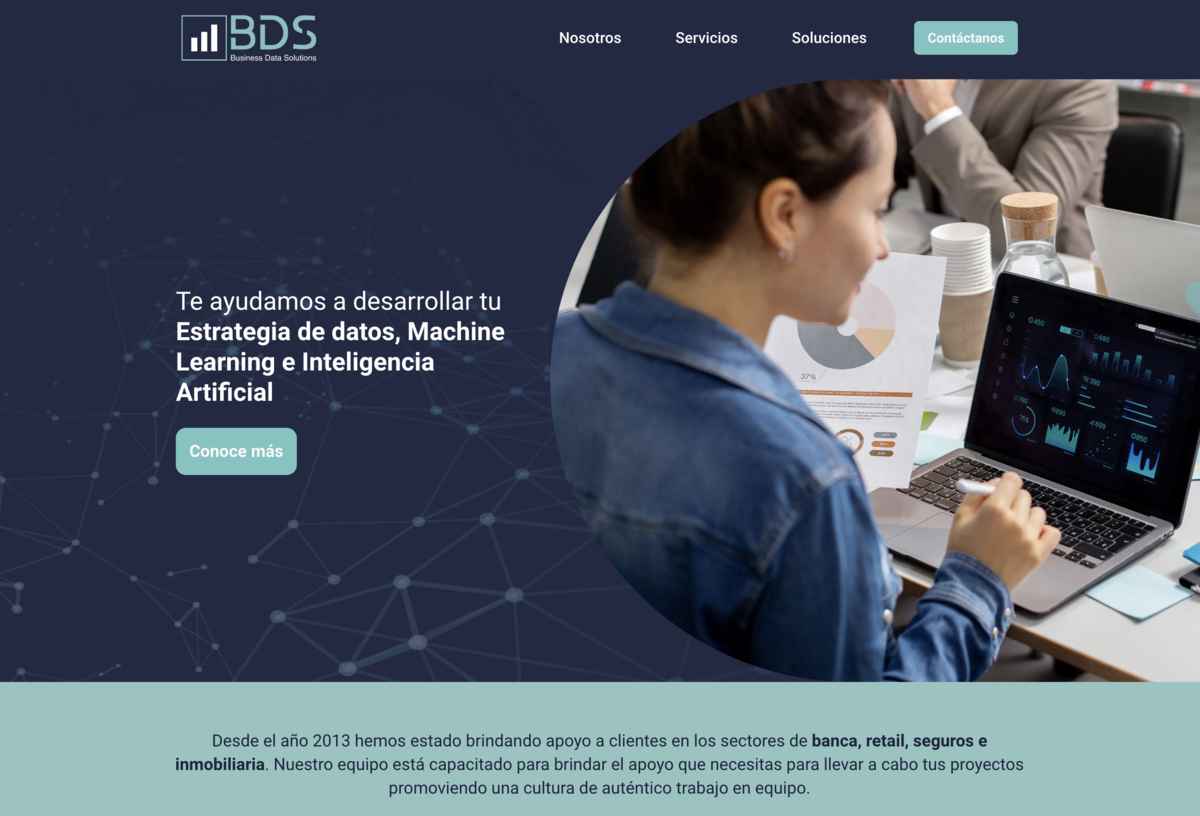 Nosotros | BDS Chile - Consultoría